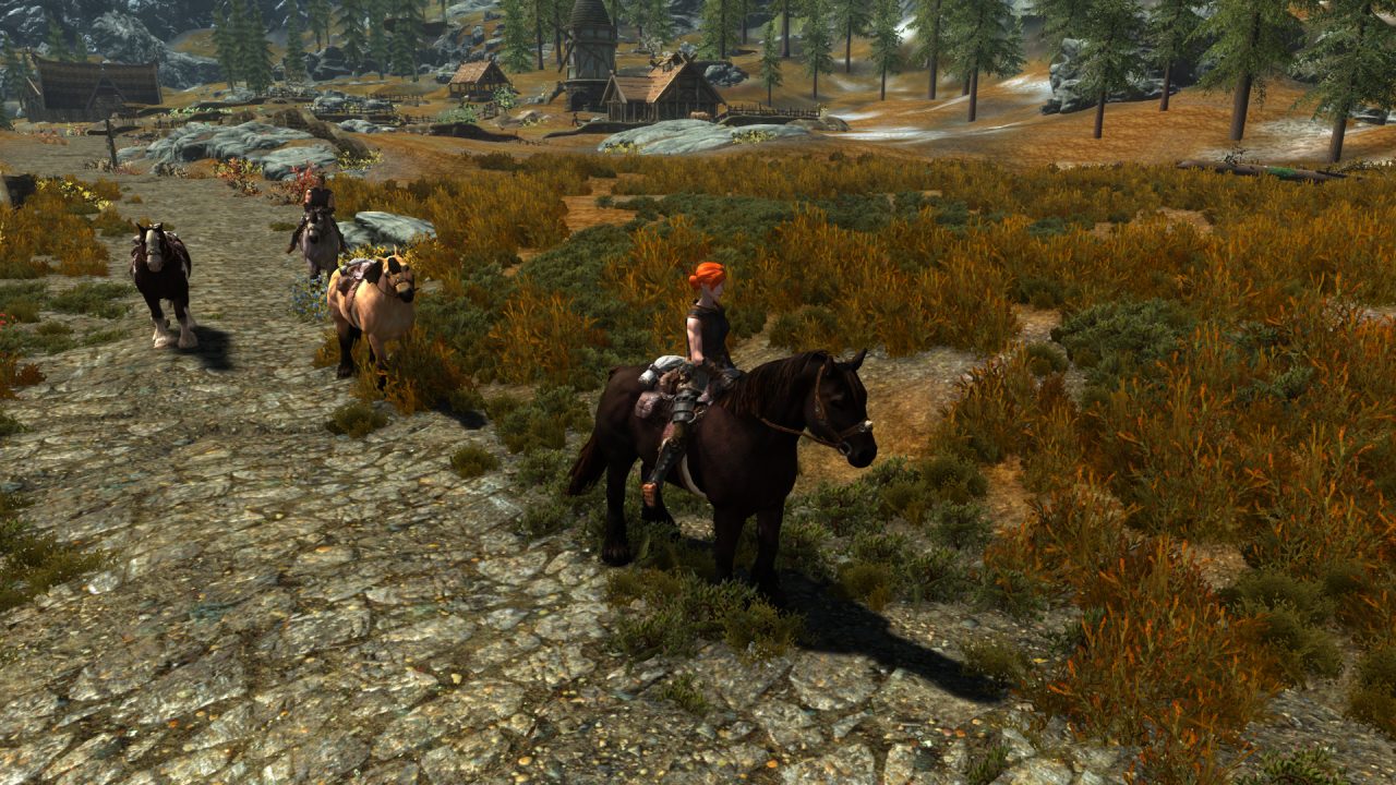 Immersive Follower Framework – Vex Modding