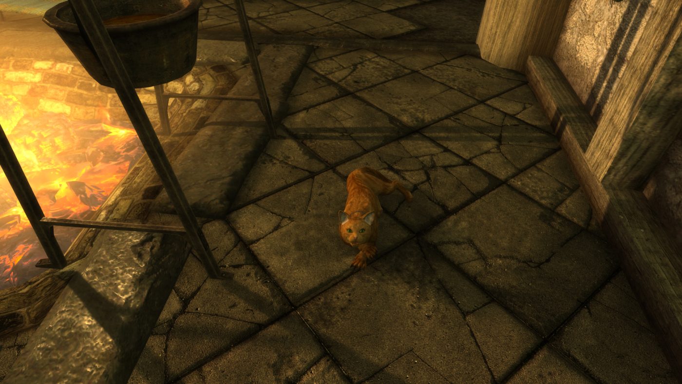 Cats in Skyrim – Vex Modding
