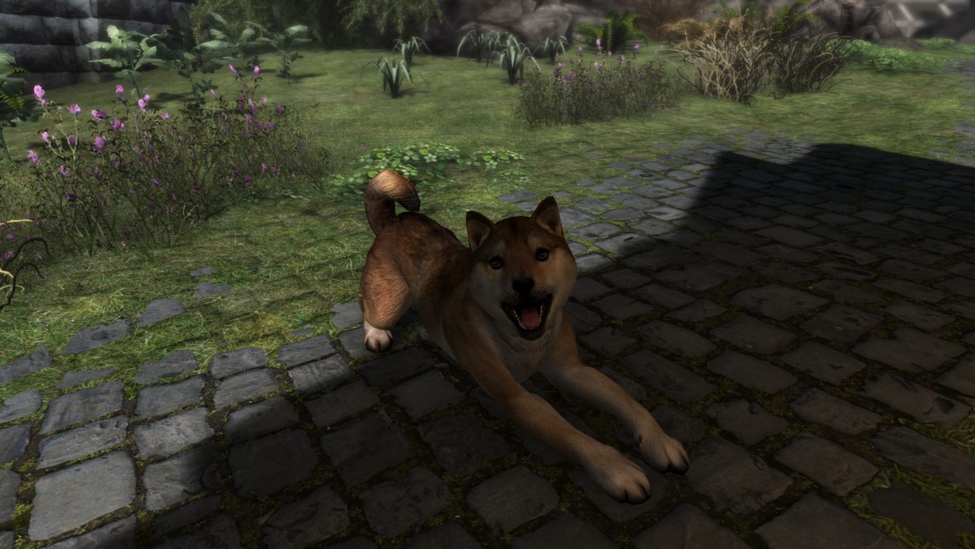 Dogs of Skyrim – Vex Modding